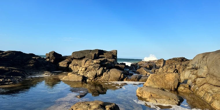 Wrigglez OnlyFans | @ai_nudist review (Leaks, Videos, Nudes)