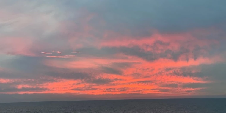 aliKat.x OnlyFans | @alikat.x review (Leaks, Videos, Nudes)