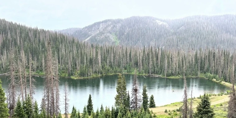 Allie OnlyFans | @alliekatbaby review (Leaks, Videos, Nudes)