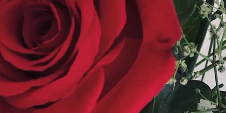 Amber rae fowler OnlyFans | @amberraefowler review (Leaks, Videos, Nudes)