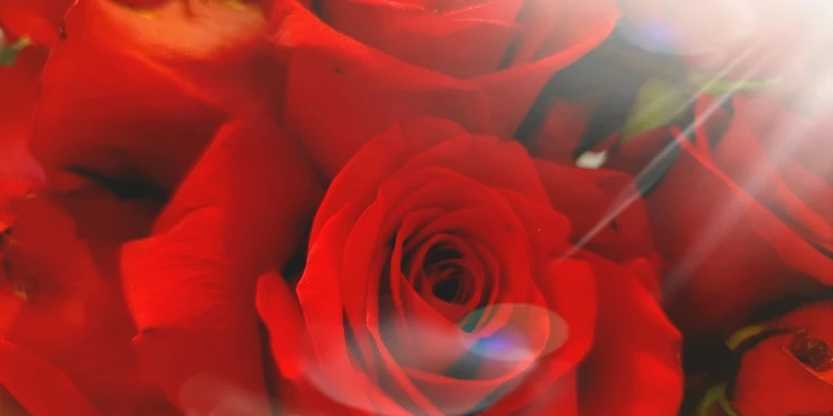 Amber Bateman OnlyFans | @bam93 review (Leaks, Videos, Nudes)