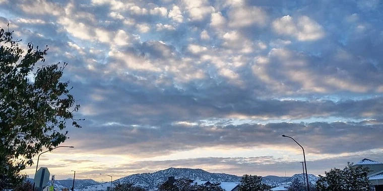 monsay OnlyFans | @bongbongs review (Leaks, Videos, Nudes)