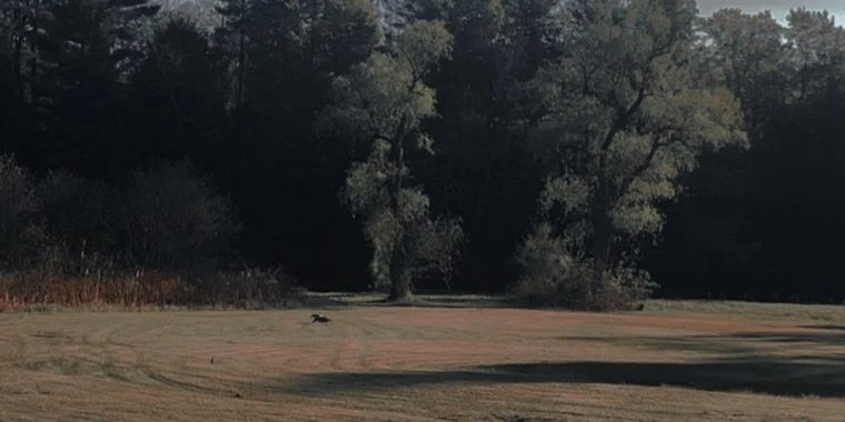 Corey v OnlyFans | @brat_on_wheelz review (Leaks, Videos, Nudes)