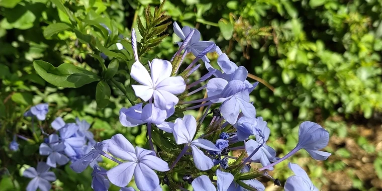 Cami OnlyFans | @cami.oficial review (Leaks, Videos, Nudes)