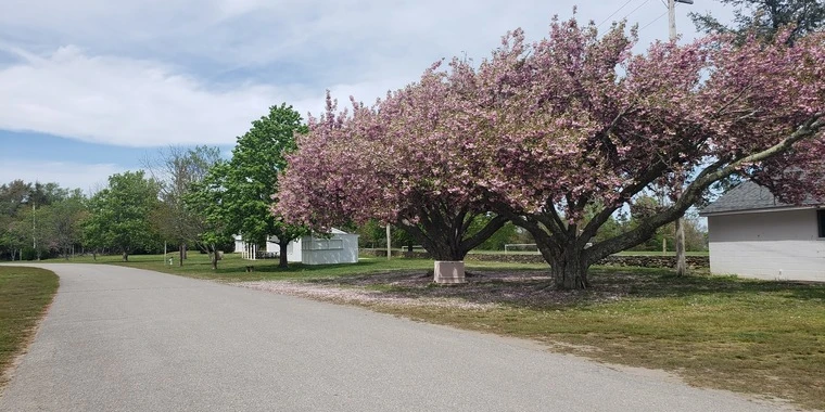 Brooke Manning OnlyFans | @daily8_brooke review (Leaks, Videos, Nudes)