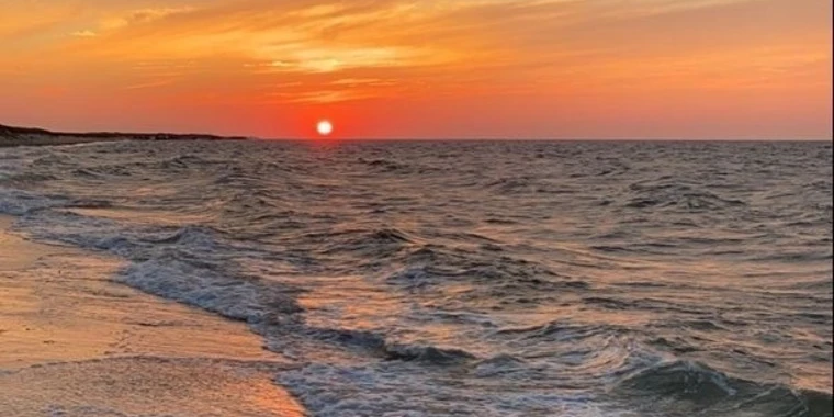 Dani OnlyFans | @danimami review (Leaks, Videos, Nudes)