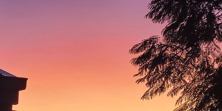 Maxine OnlyFans | @deathcli.max review (Leaks, Videos, Nudes)