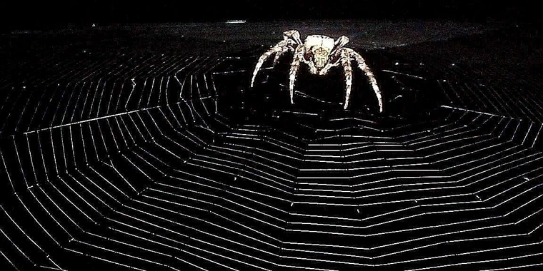 𝔈𝔵𝔮𝔲𝔦𝔰𝔦𝔱𝔢 ℭ𝔬𝔯𝔭𝔰𝔢 OnlyFans | @exquisitefeast review (Leaks, Videos, Nudes)