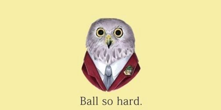 Shaun Hardcastle OnlyFans | @hardcaze review (Leaks, Videos, Nudes)