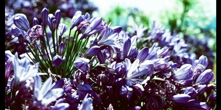 LDN Obscurist OnlyFans | @ldnobscurist review (Leaks, Videos, Nudes)