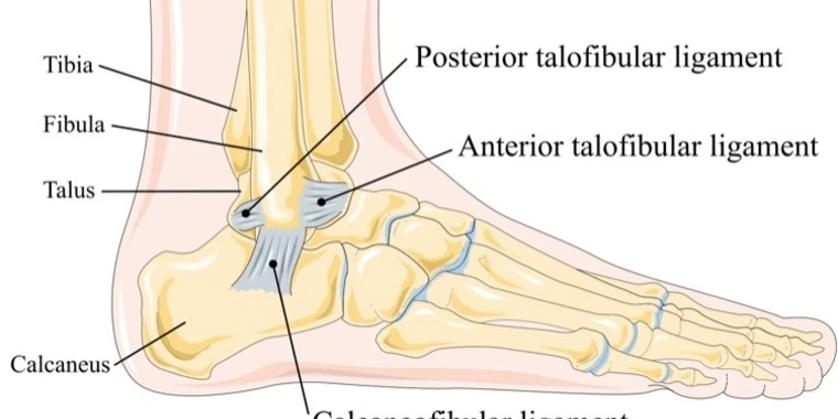 Logan Rogan OnlyFans | @loganrogan review (Leaks, Videos, Nudes)