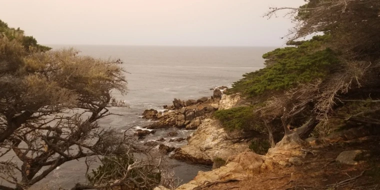 Ryan&Ruth's Married Life OnlyFans | @marriagemischiefxxx review (Leaks ...