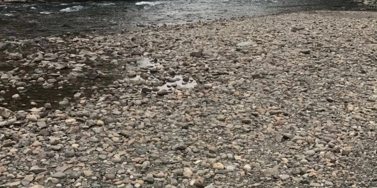 Meg OnlyFans | @megameg review (Leaks, Videos, Nudes)