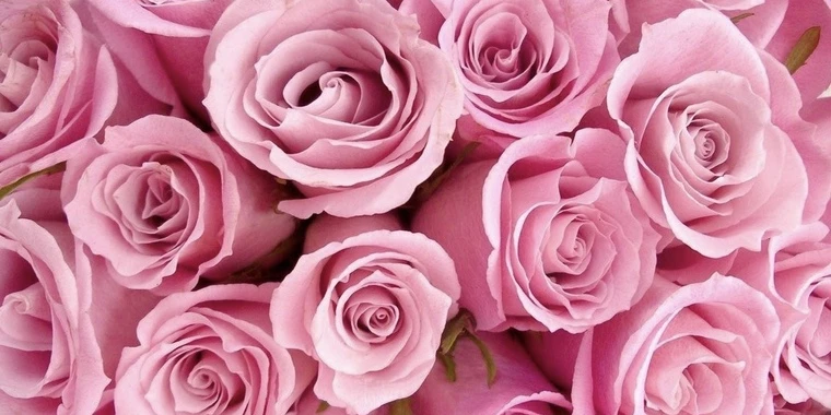 Miss Kaye OnlyFans | @misskayenasty review (Leaks, Videos, Nudes)