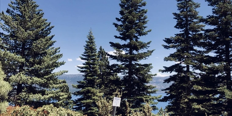 Amy OnlyFans | @monamy review (Leaks, Videos, Nudes)