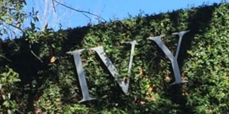 the only Ivy OnlyFans | @official_ivy review (Leaks, Videos, Nudes)