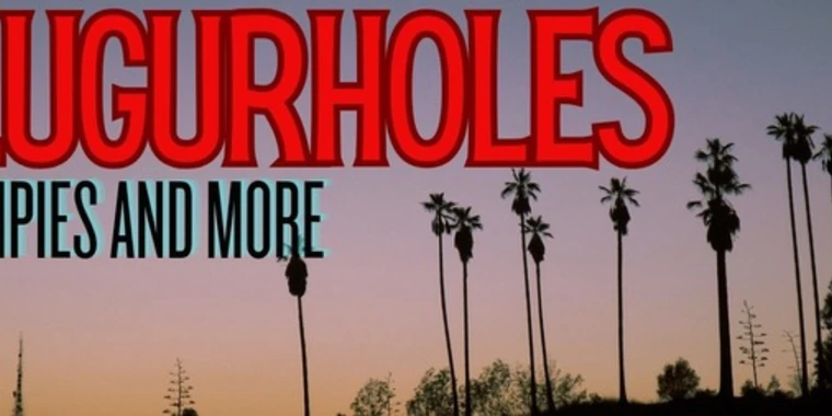 PlugURHoles OnlyFans | @plugurholes review (Leaks, Videos, Nudes)