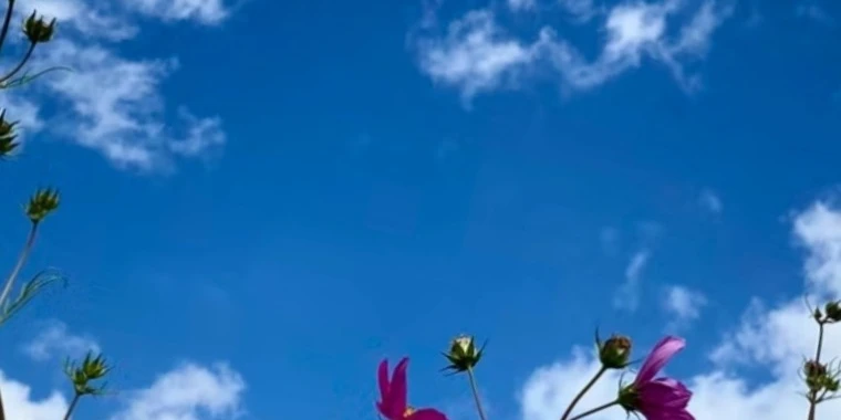 Shawna Robson OnlyFans | @sashastormy99x review (Leaks, Videos, Nudes)