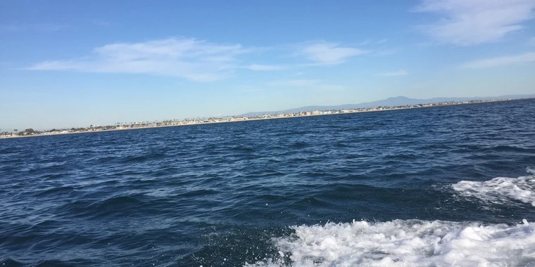 Secret_Siren OnlyFans | @secret_siren review (Leaks, Videos, Nudes)