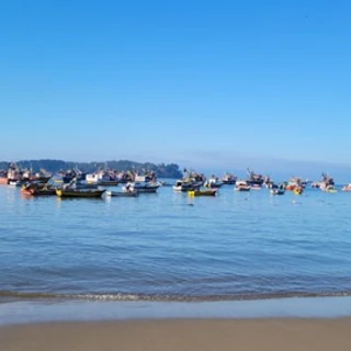 Haroldreimers OnlyFans | @haroldreimersmunoz review (Leaks, Videos, Nudes)