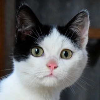 P'avel"P OnlyFans | @pavelp1 review (Leaks, Videos, Nudes)