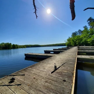 Remi Moore OnlyFans | @remigivesmemoore review (Leaks, Videos, Nudes)