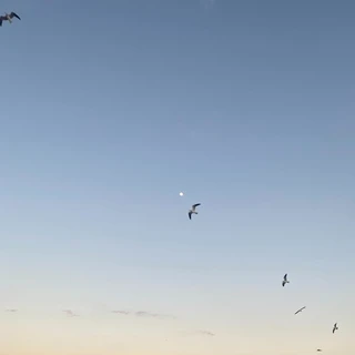 We Are one OnlyFans | @unifyer review (Leaks, Videos, Nudes)